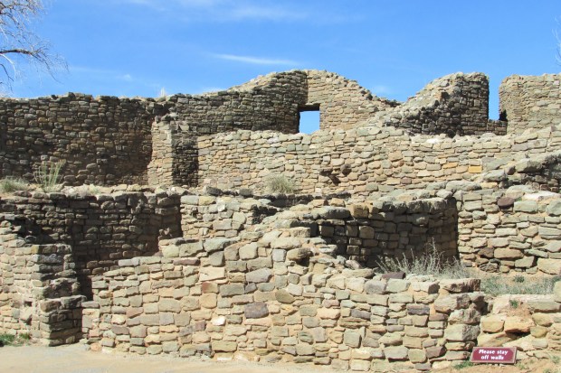 Firebird of the Aztecs – Colorado Kid Daylilies