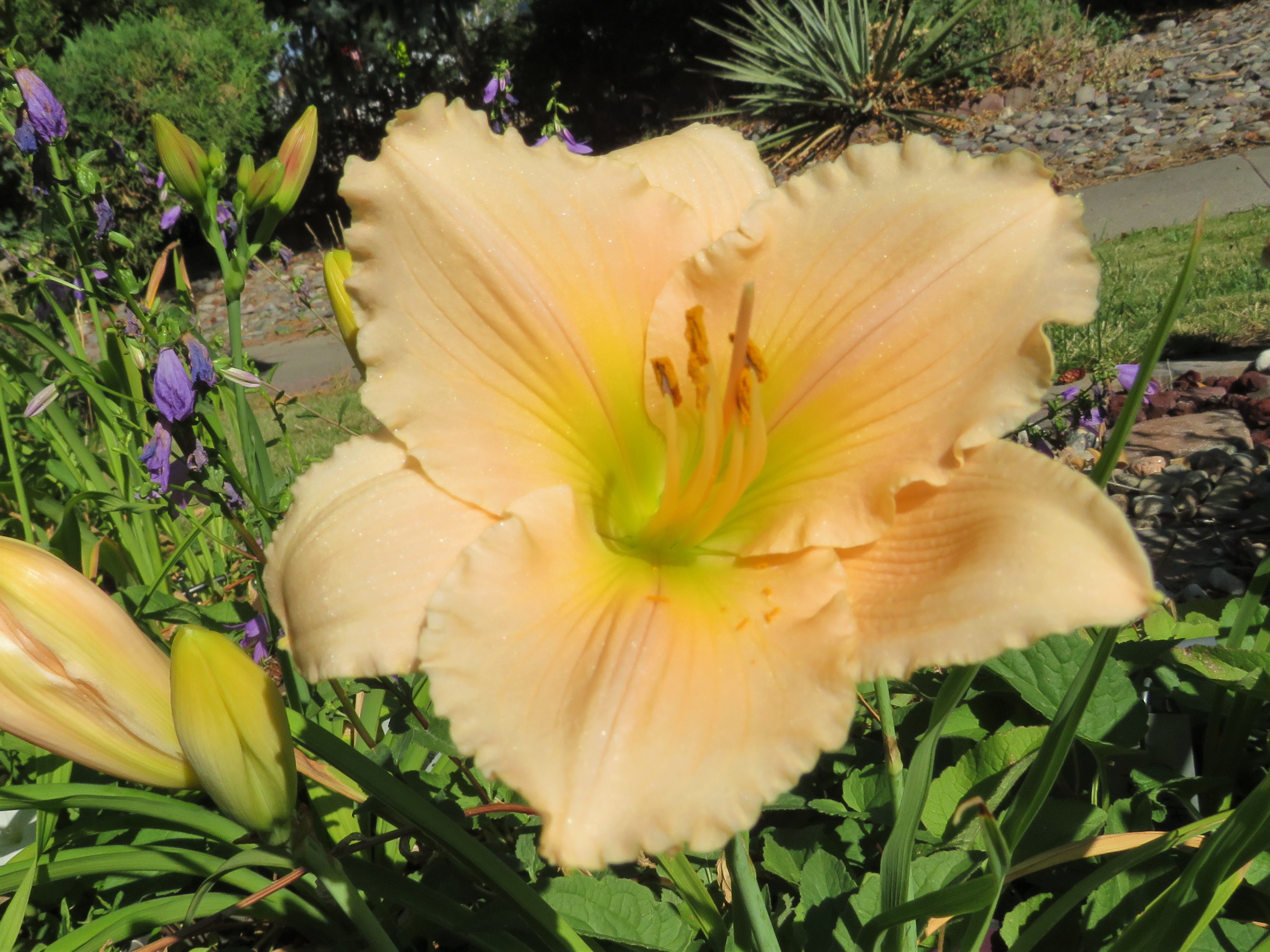 A fairy tale, a classy lady and a skinwalker walk into a bar ...